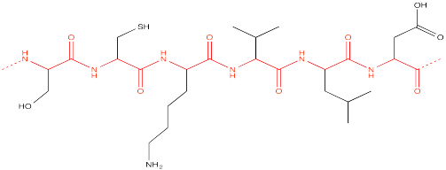 Structure & Reactivity: Macromolecules